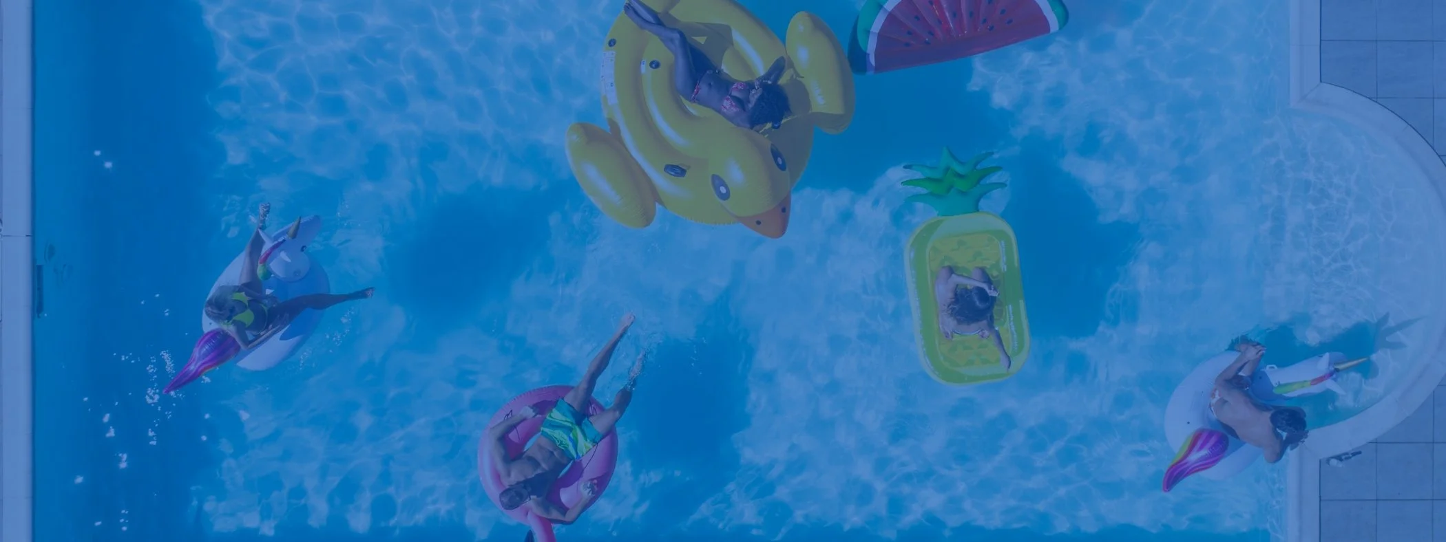 Pool Openings in West Island Vaudreuil - Reserve Your Spot Today! — POOL GUARDIANS