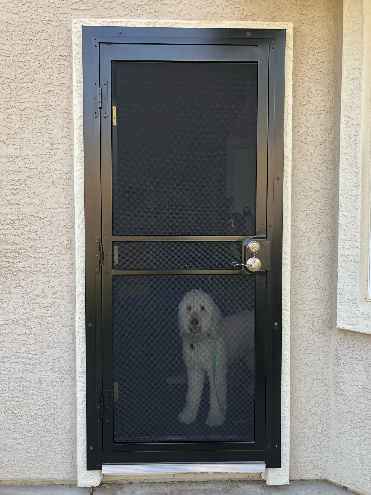 Doors — Nevada Tough Doors