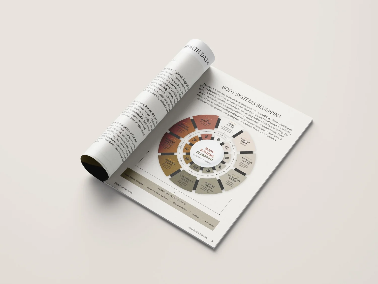 Functional Lab Ordering Guide — FNP Institute