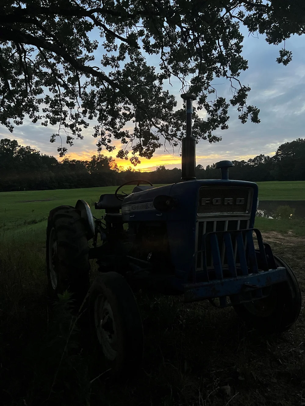 Our Story | Discover Faithful Farm Creations — Latham Scarlett Farms