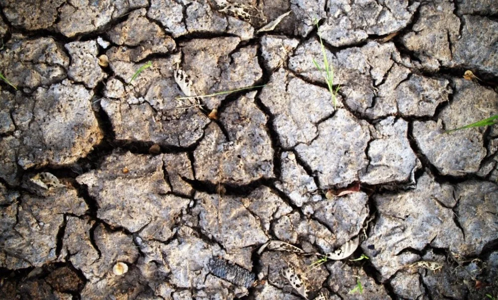 The Importance of Soil on Life — Commonwealth Human Ecology Council