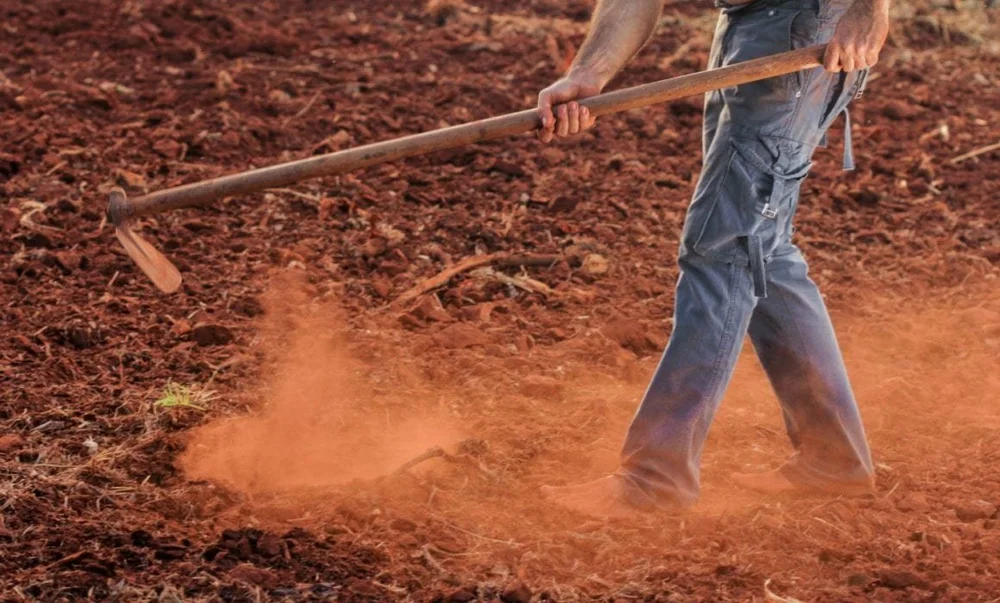 The Importance of Soil on Life — Commonwealth Human Ecology Council