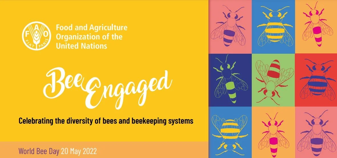 World Bee Day 2022 — Commonwealth Human Ecology Council