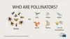Why Are Pollinators Important? — Commonwealth Human Ecology Council