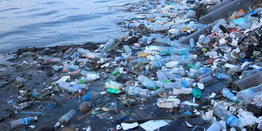 The Problem With Ocean Plastic Pollution — Commonwealth Human Ecology ...