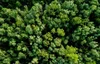 Infinium Ultra-low Carbon eFuels