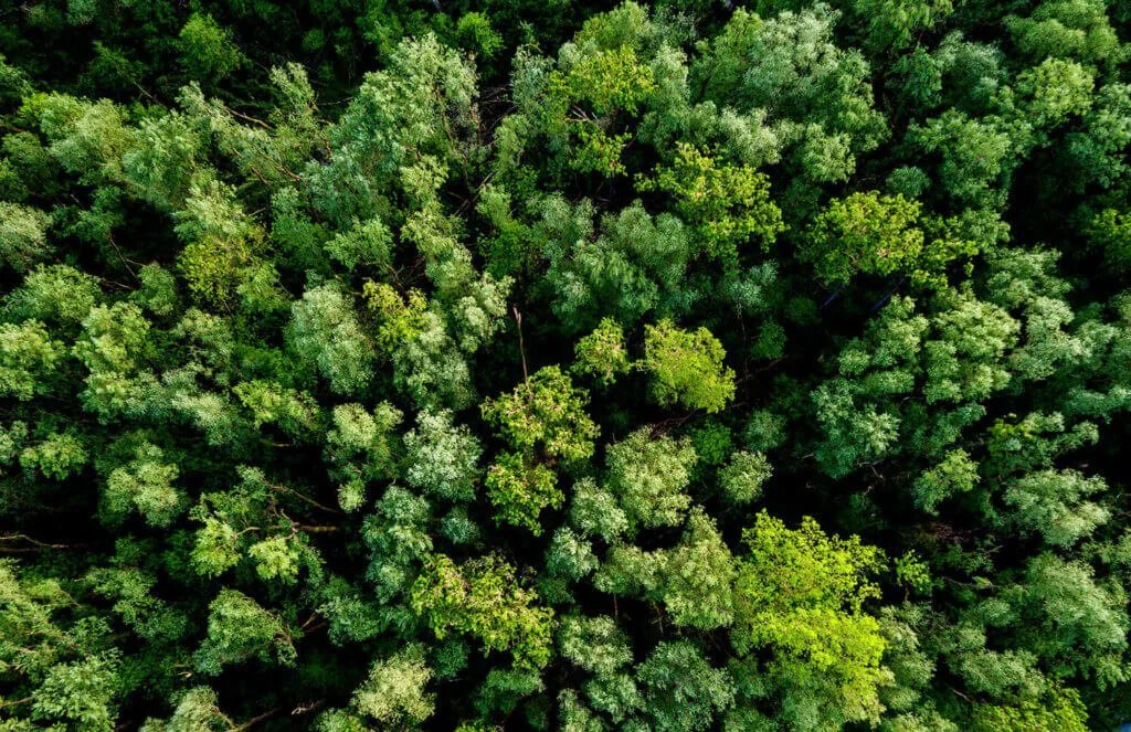 Infinium Ultra-low Carbon eFuels
