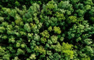 Infinium Ultra-low Carbon eFuels