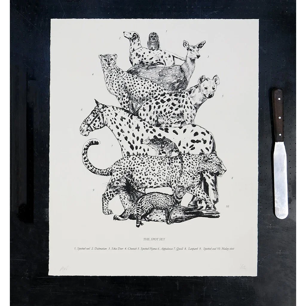 Deptford Dog Walk Map print — Garudio Studiage