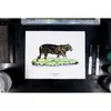 Deptford Dog Walk Map print — Garudio Studiage