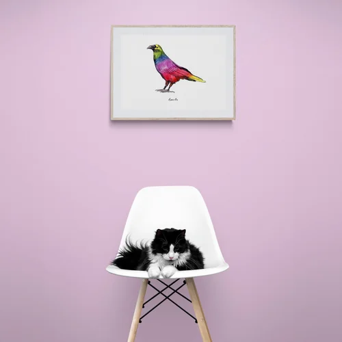 London Animal Stars A3 Prints - By Anna Walsh — Garudio Studiage