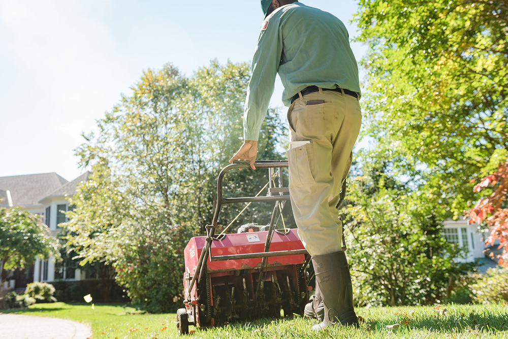 The Complete Guide to Lawn Aeration and Overseeding