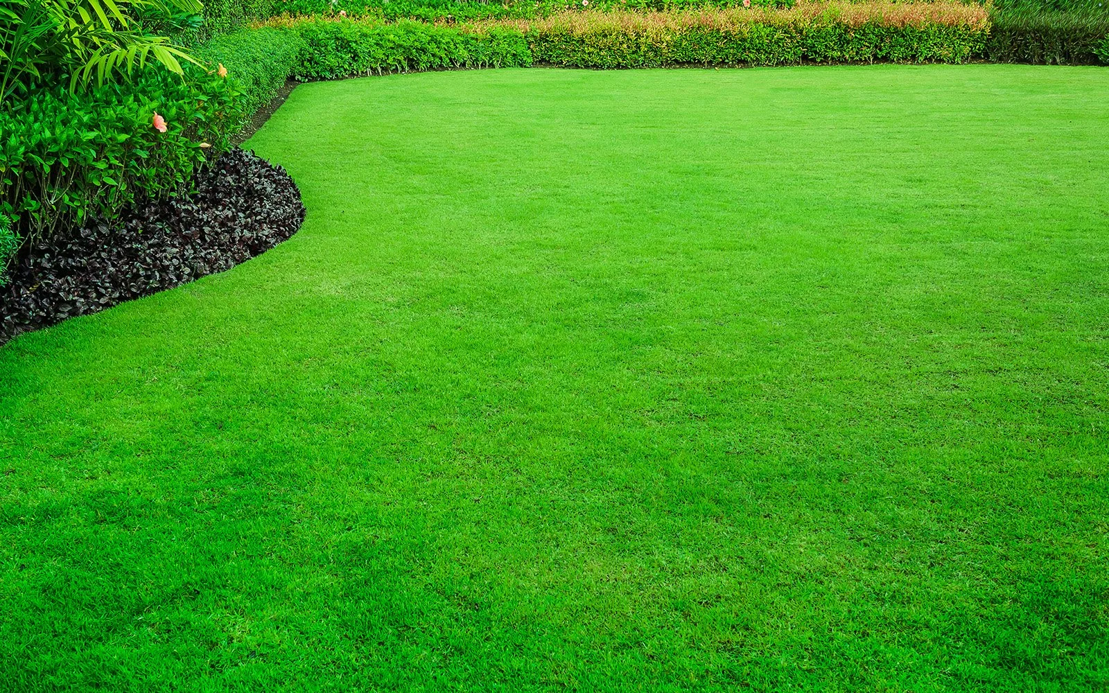 The Turf Doctor - Maine's best lawn care & pest services