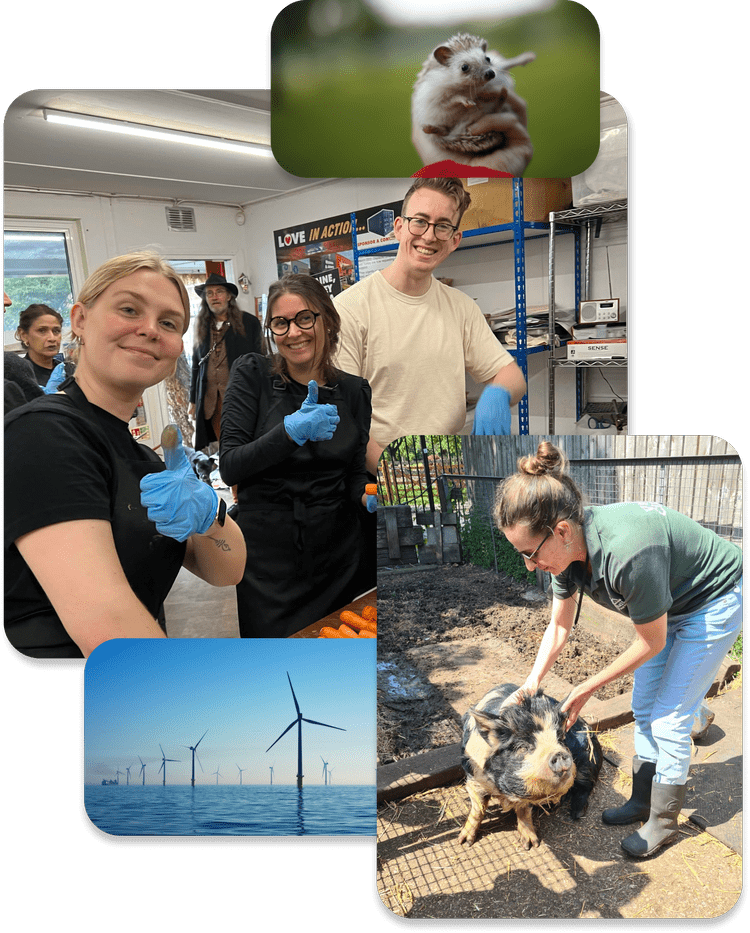 Employee Volunteering Experiences | Group or Remote