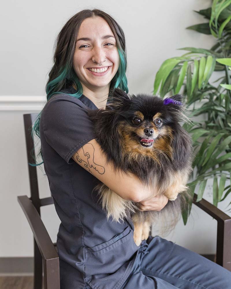 Our Team — SnipWell - Spay Neuter & Wellness Clinic