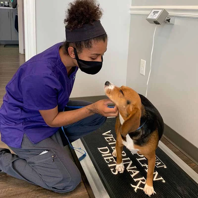 About 2 — SnipWell - Spay Neuter & Wellness Clinic