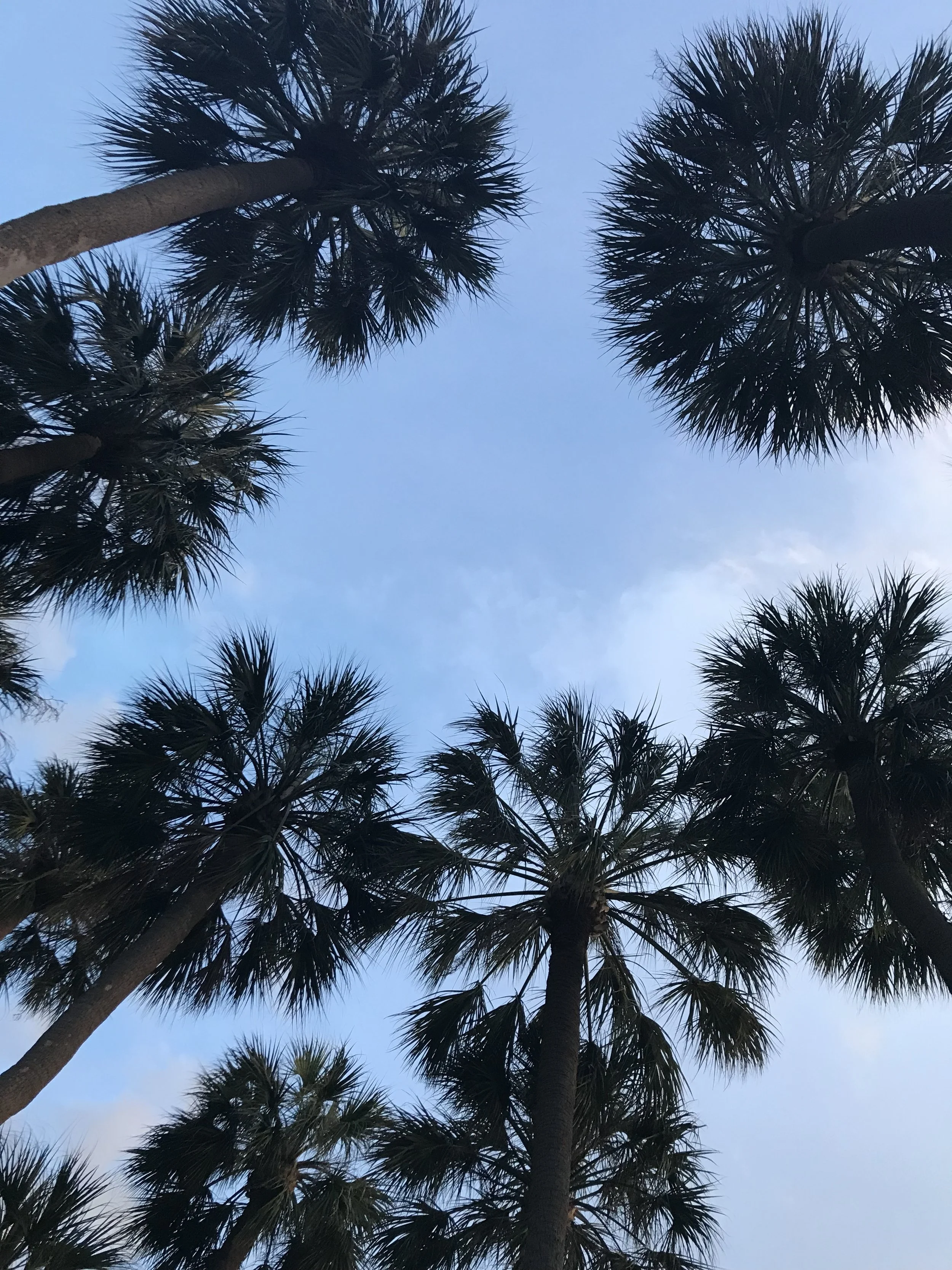 Amber Privett Counseling