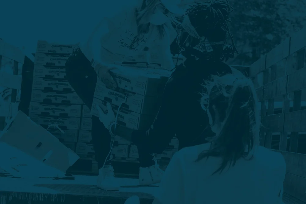 Non-Profits Case Study Library — Ring Digital