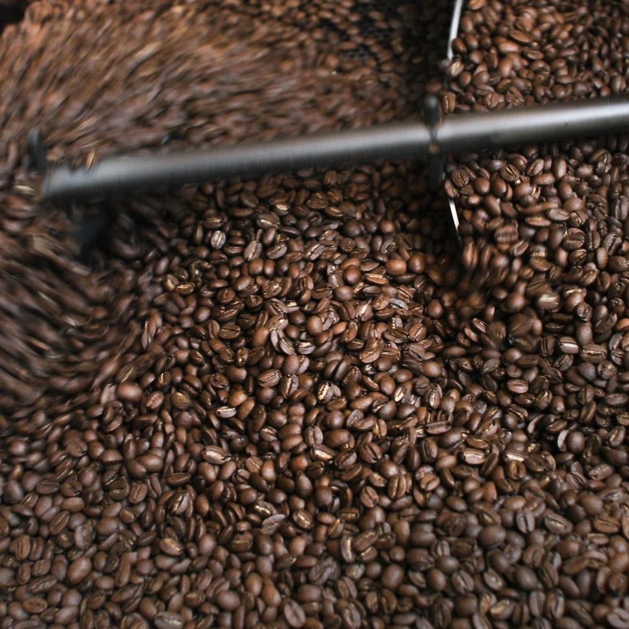 Baja Beans Coffee Roasters