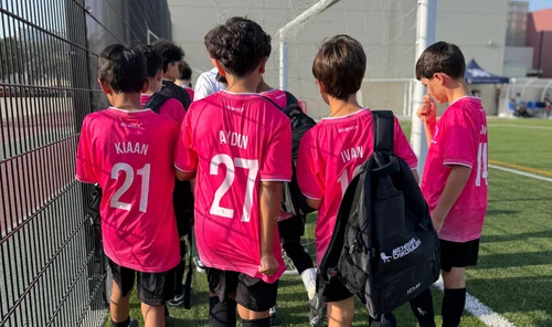 News — Alliance Football Club
