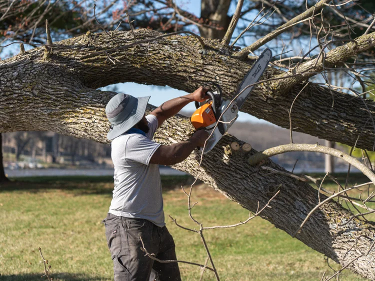 Contact — West Central Tree Service