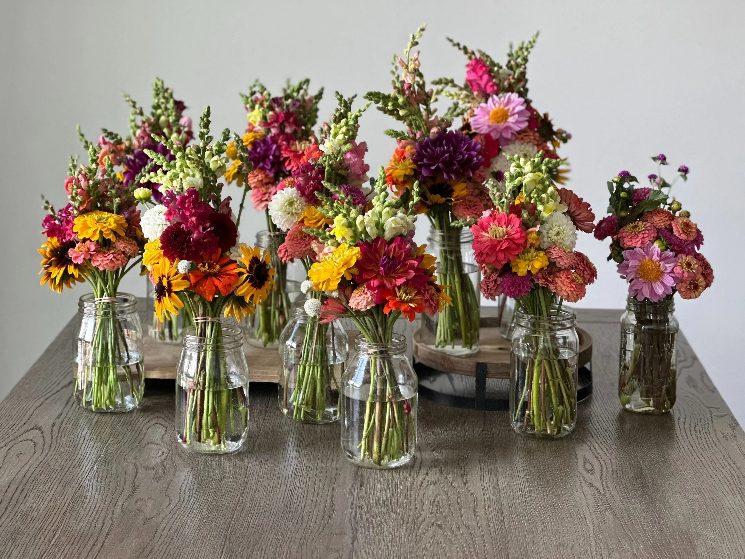 Get in Touch — Backyard Blooms