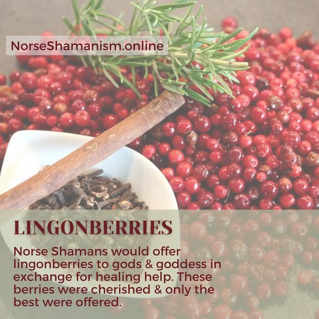 Online Norse Shamanic Classes & Seidr Classes — Norse Shamanism