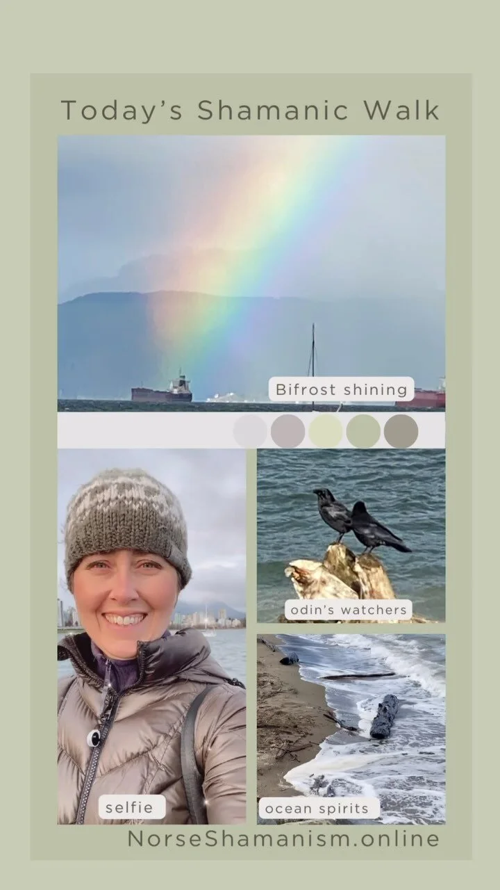 Online Norse Shamanic Classes & Seidr Classes — Norse Shamanism