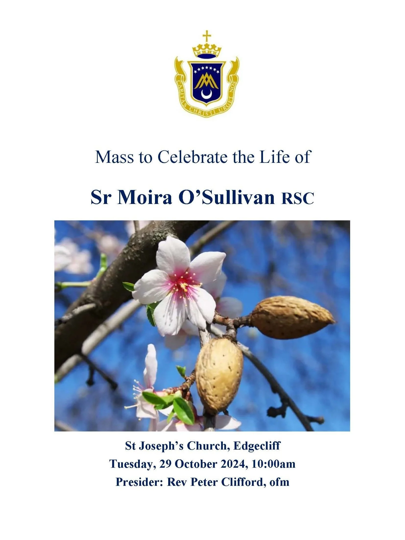 We Remember — Sisters of Charity of Australia