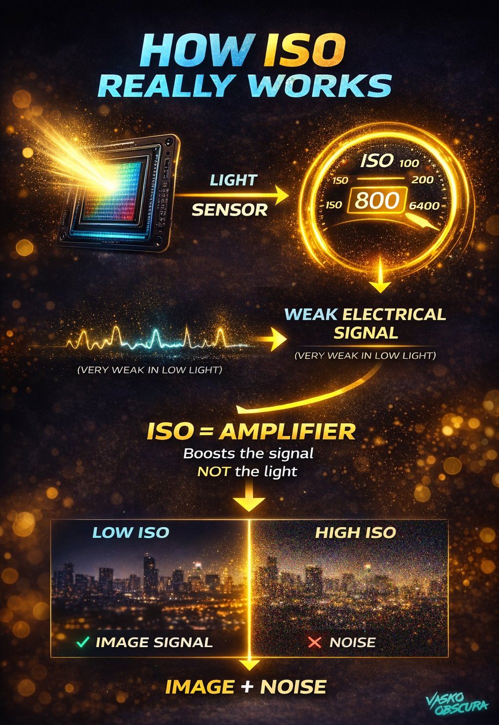 ISO for Beginners: A Complete Guide to Understanding ISO in Photography