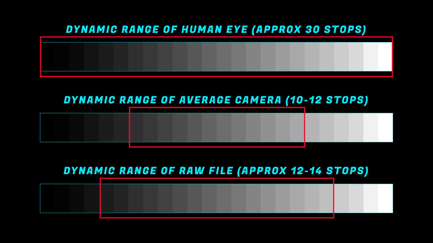 5 Tricks to Get the Best Dynamic Range Out of Canon Cameras