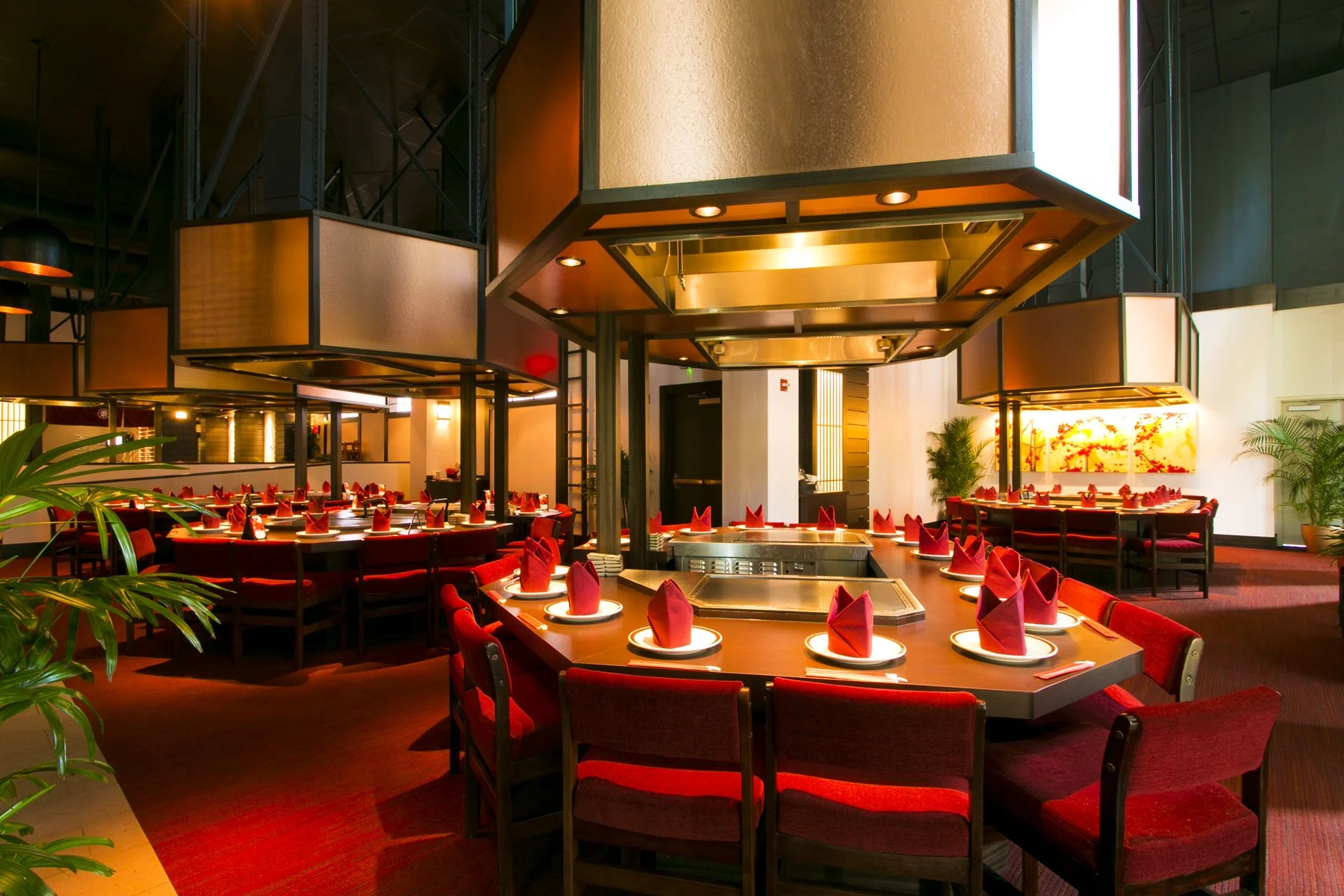 Tanaka of Tokyo Japanese Restaurant — Tanaka of Tokyo