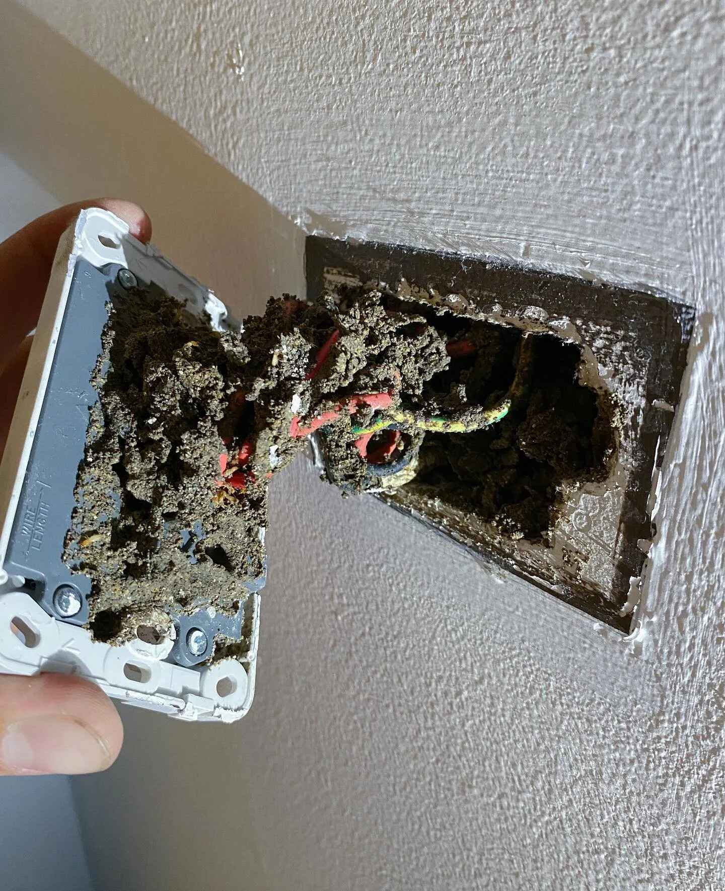 J T Walker Electrical