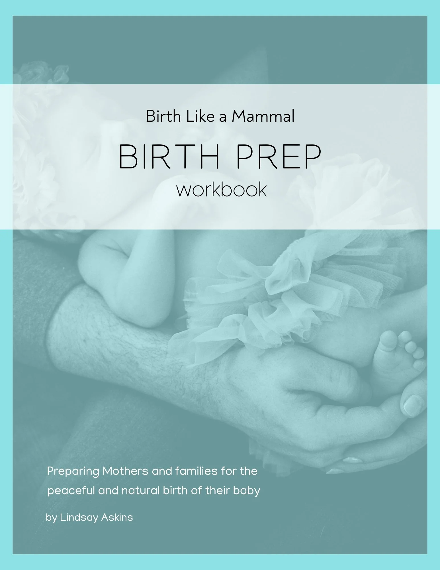The Birth Like a Mammal birth prep workbook — BIRTH LIKE A MAMMAL