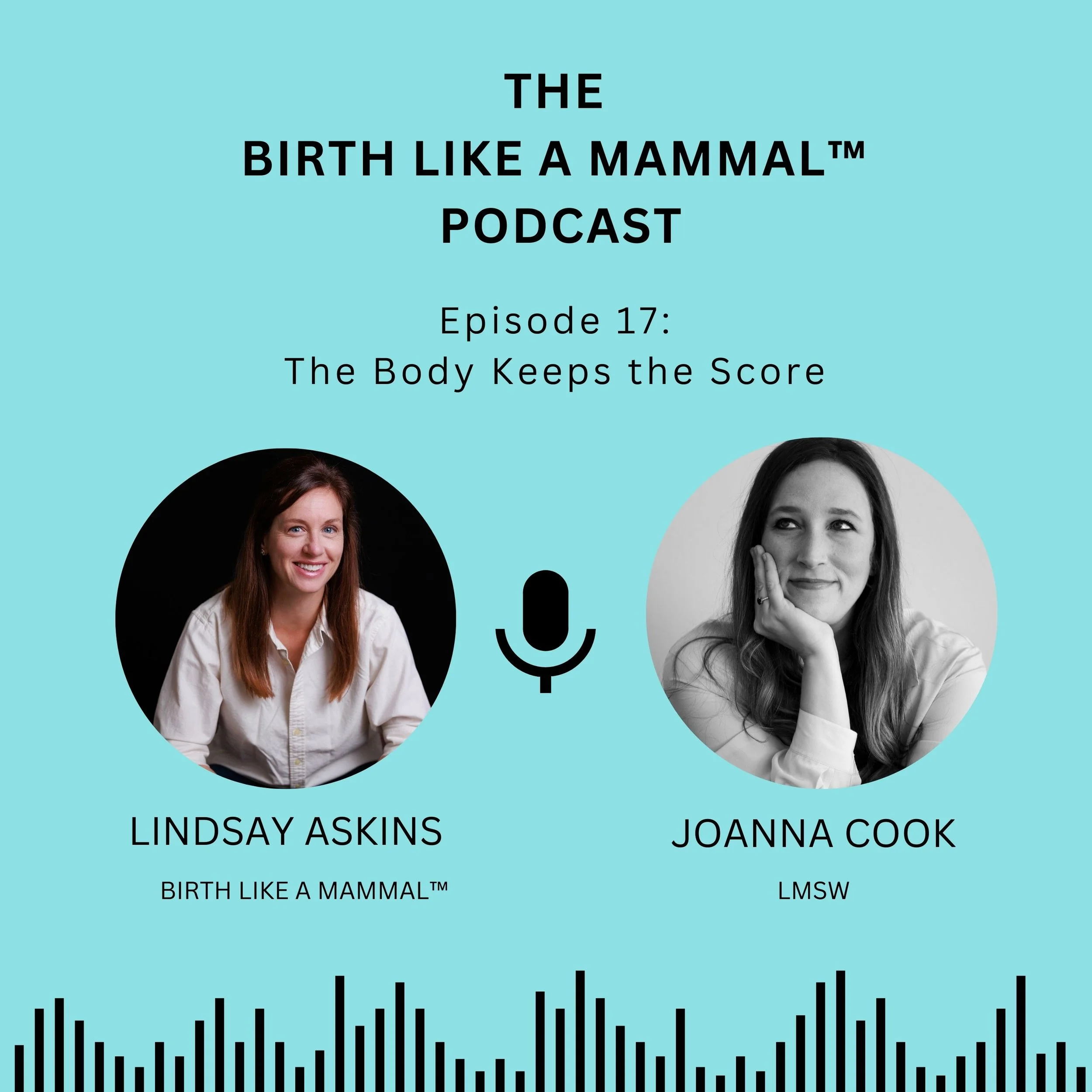 Episode 17: The Body Keeps the Score with Joanna Cook, LMSW — BIRTH ...