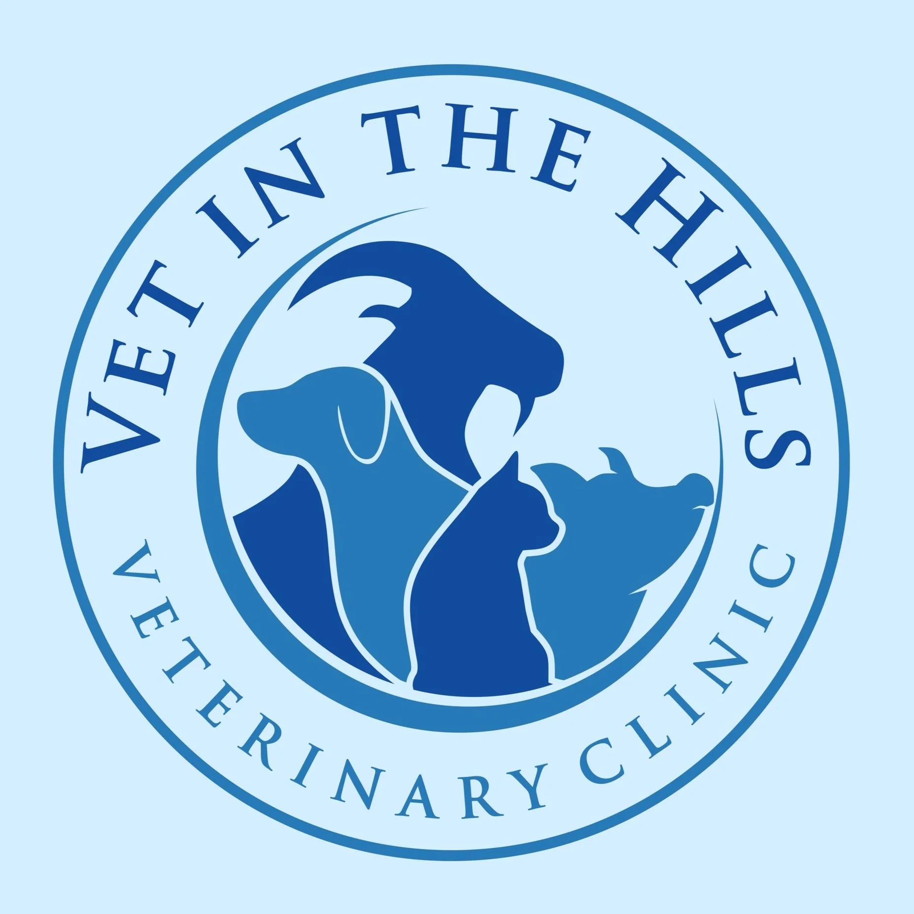 Vet in the Hills