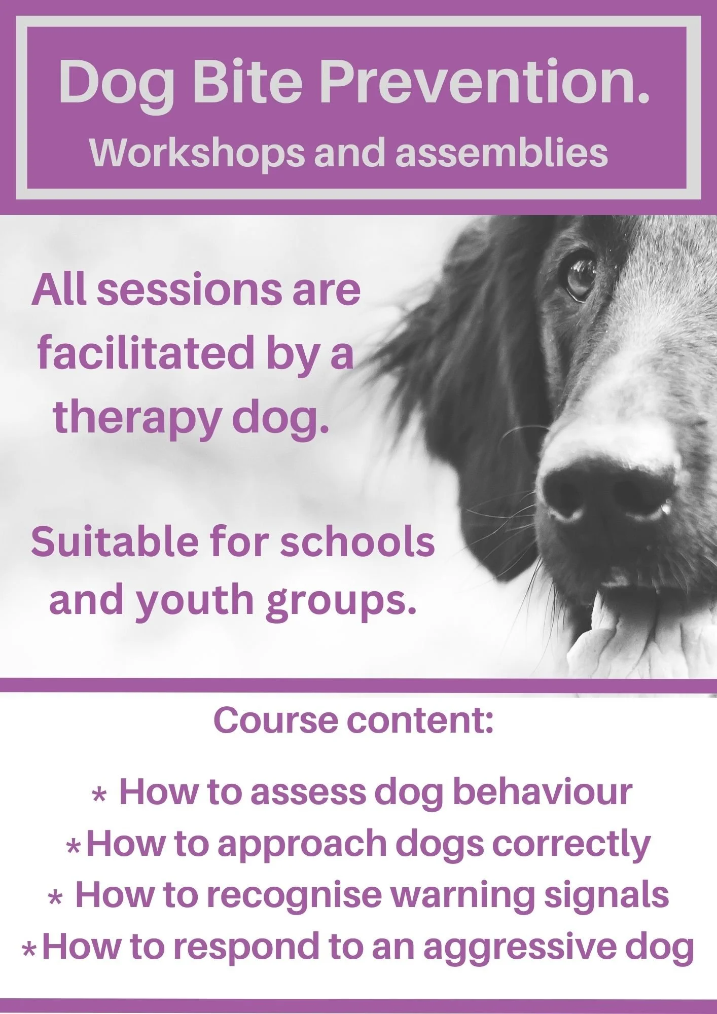 Dog Bite Prevention — Animal Focused