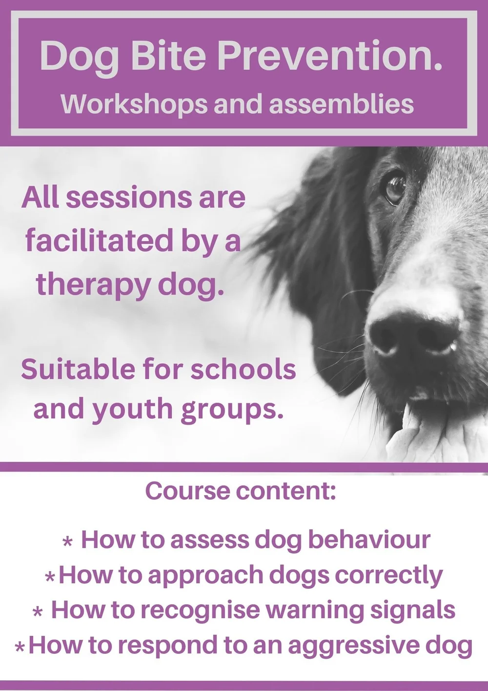 Dog Bite Prevention Animal Focused