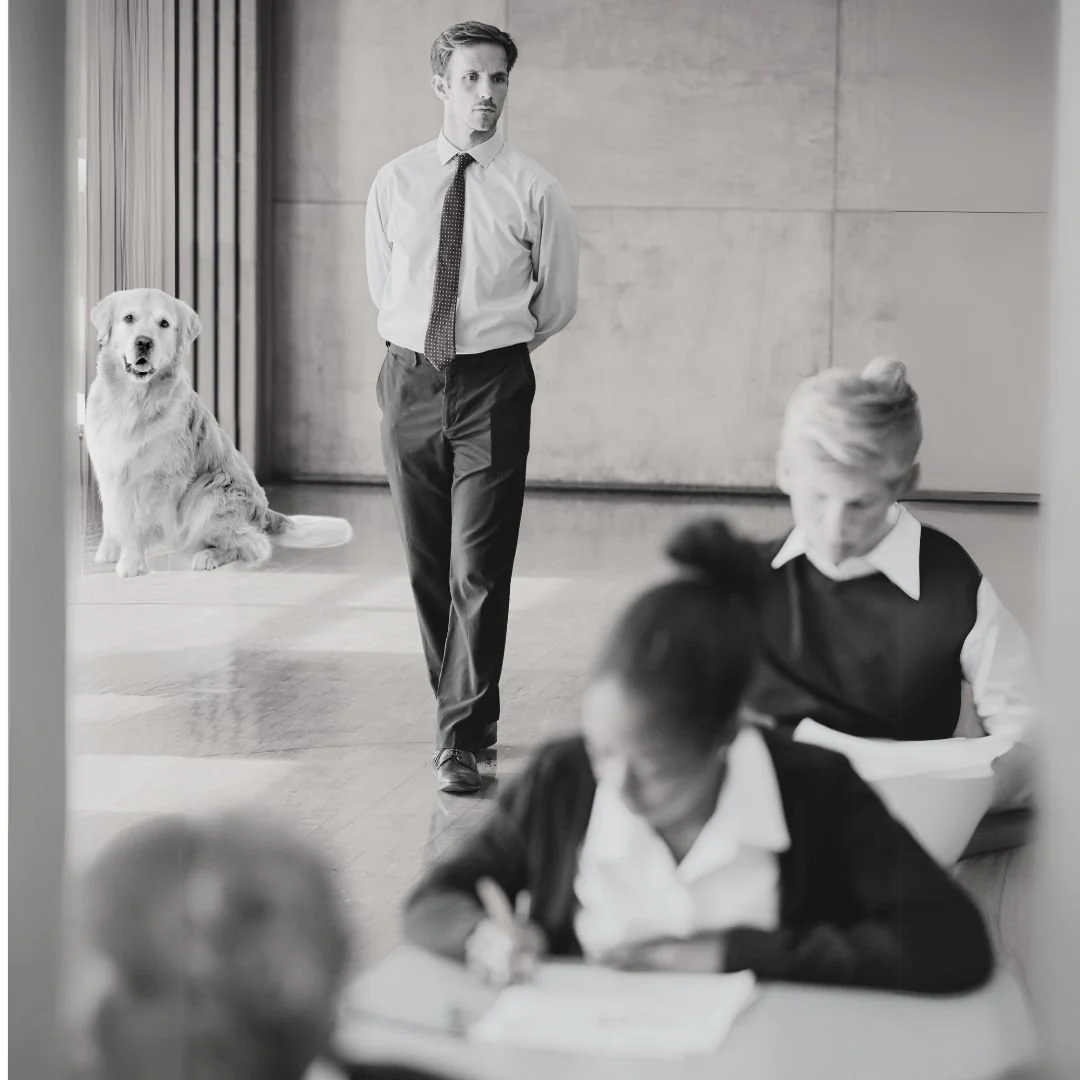 Invigilator Training — Animal Focused