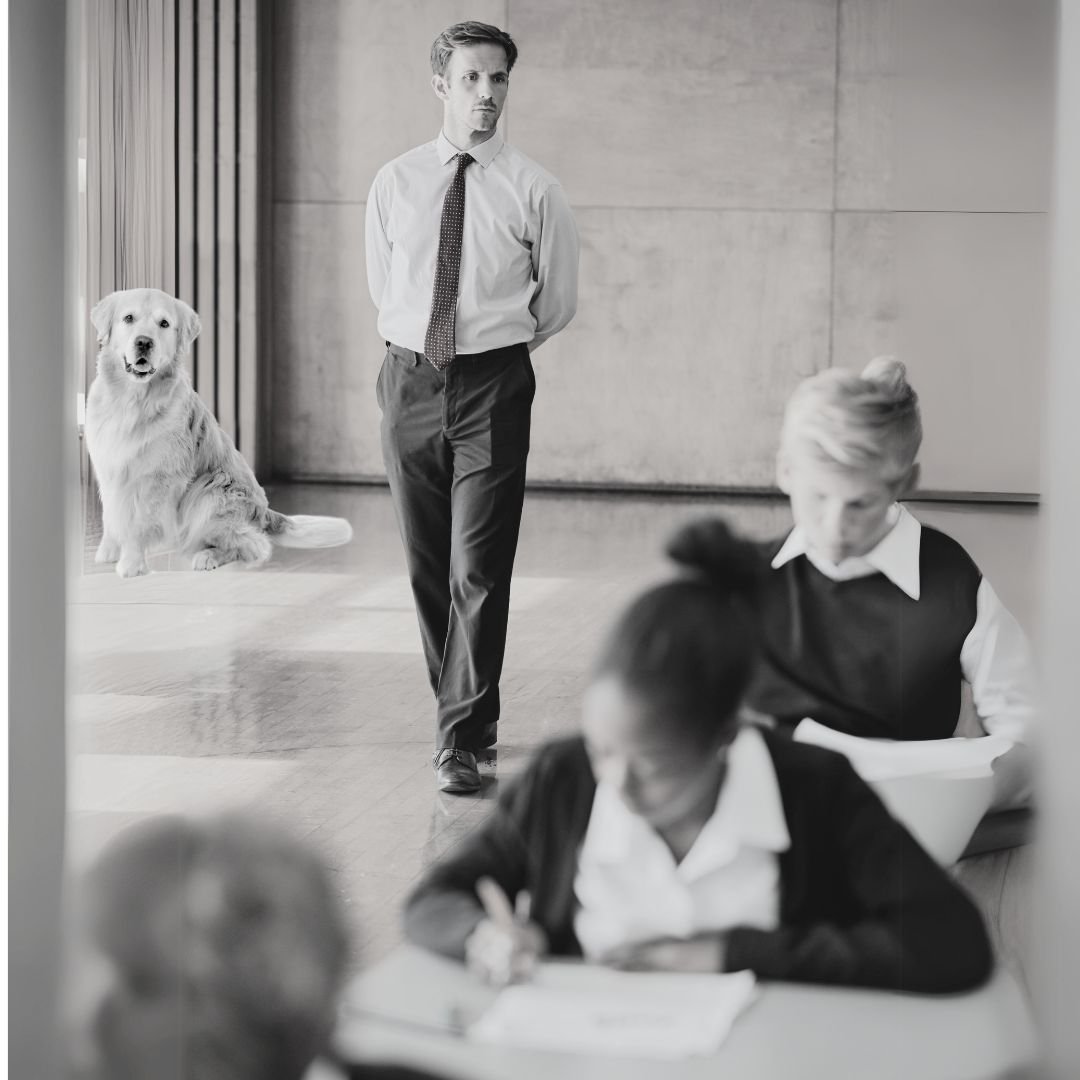 Invigilator Training — Animal Focused