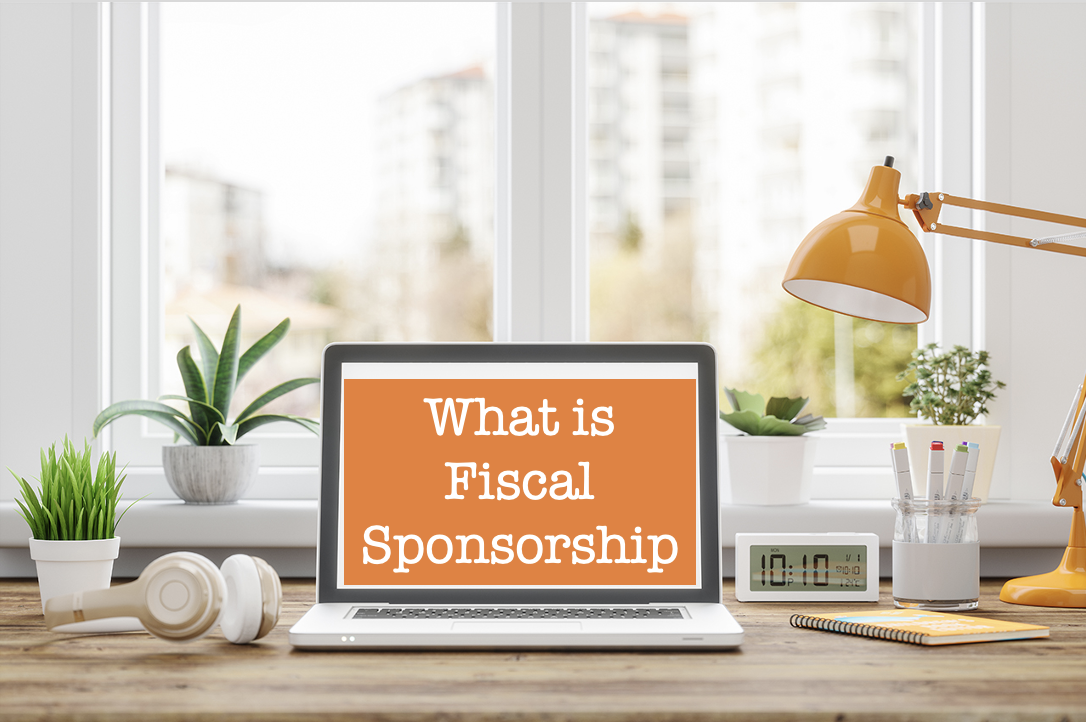 What is a Fiscal Sponsorship? — People in Partnership