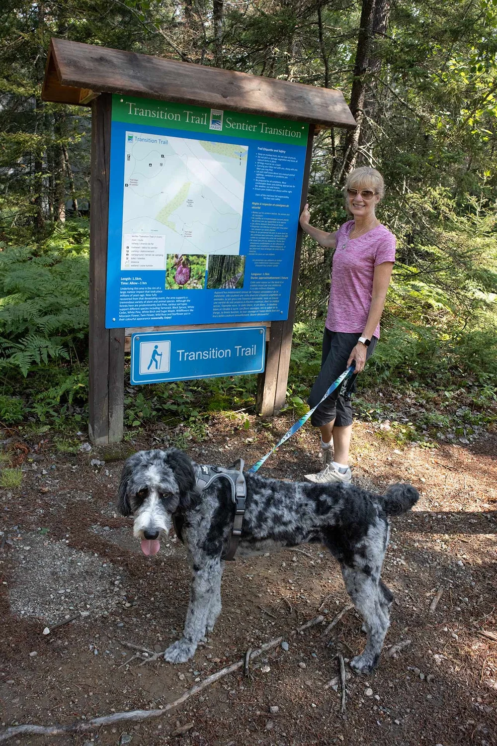 Windy Lake Provincial Park Review: Camping, RV & Cabin Tips, Water ...