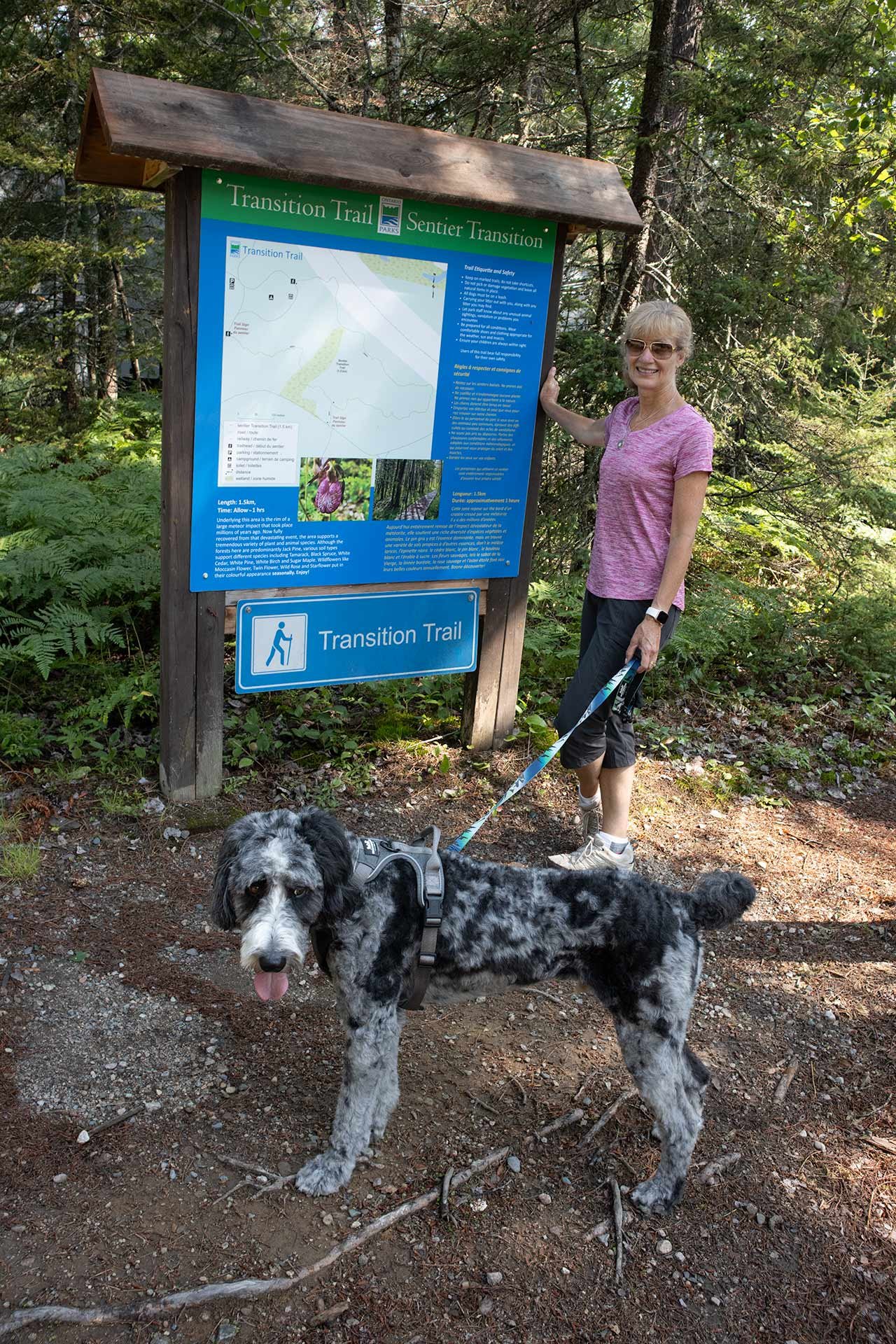 Windy Lake Provincial Park Review: Camping, RV & Cabin Tips, Water ...