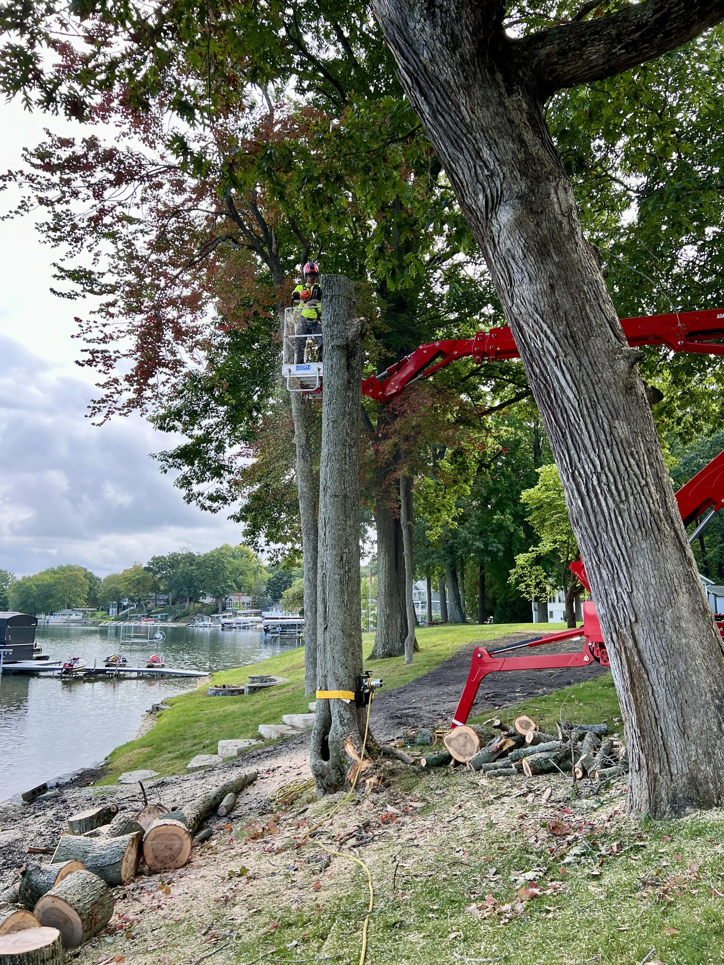 Tactical Tree Services and Excavating-Berrien County MI Tree Services ...