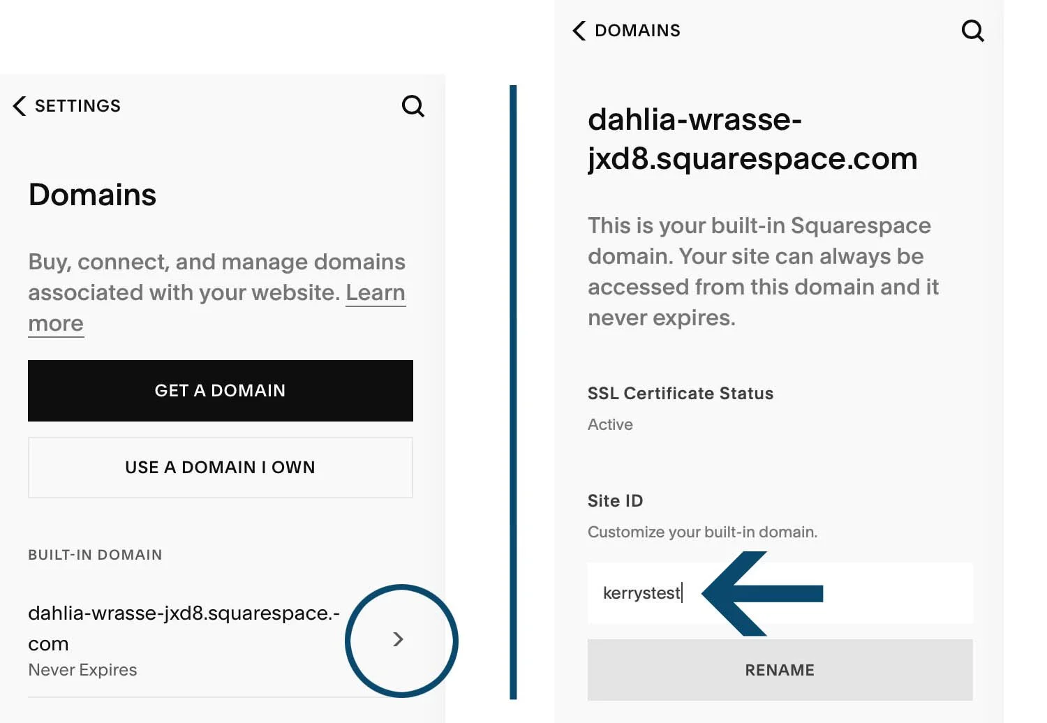 Changing the built-in Squarespace domain to something you’ll remember — Kerry A. Thompson ...