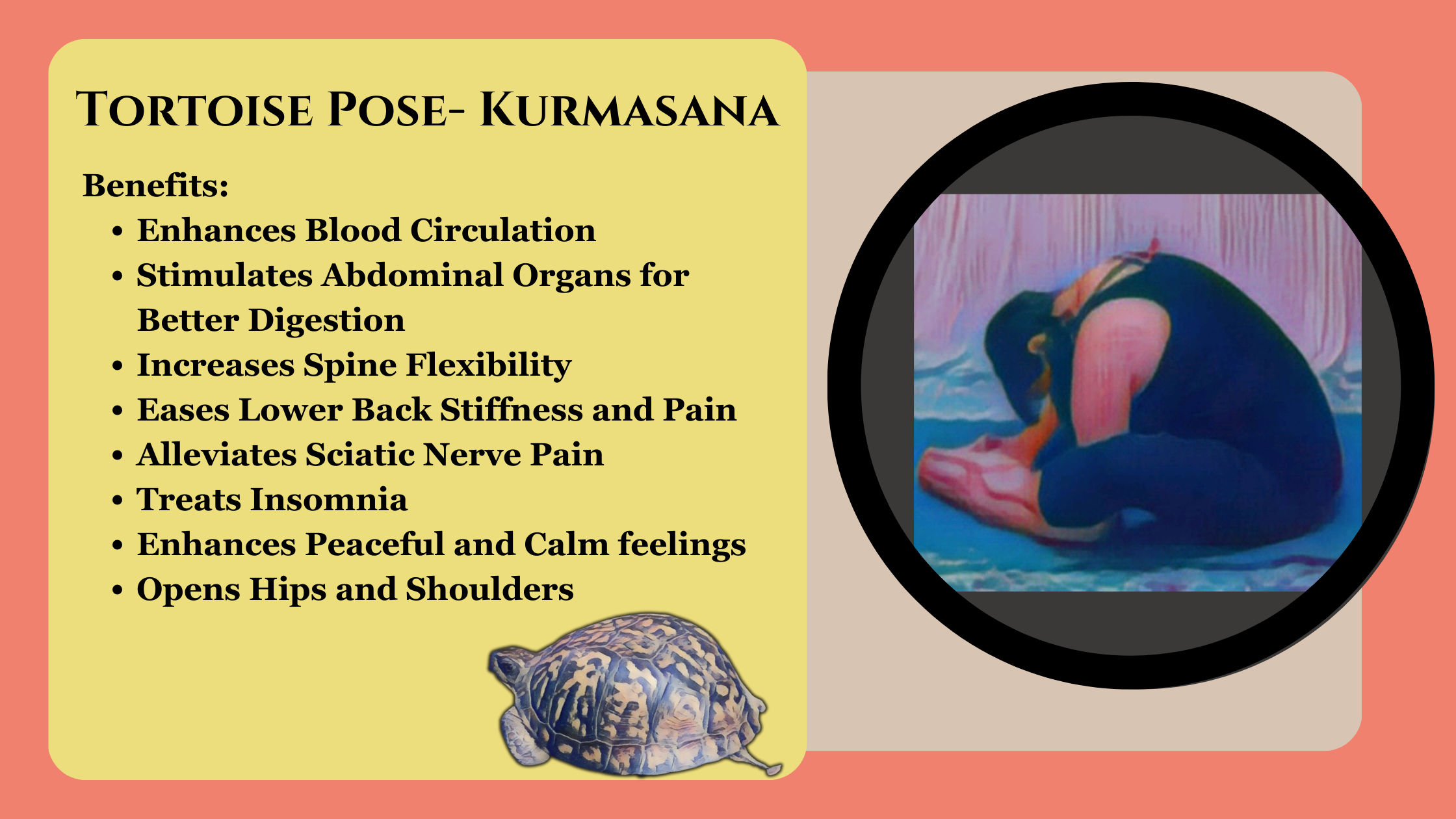 The myth, mysticism, and messages of the wild kingdom. — Dharma Days