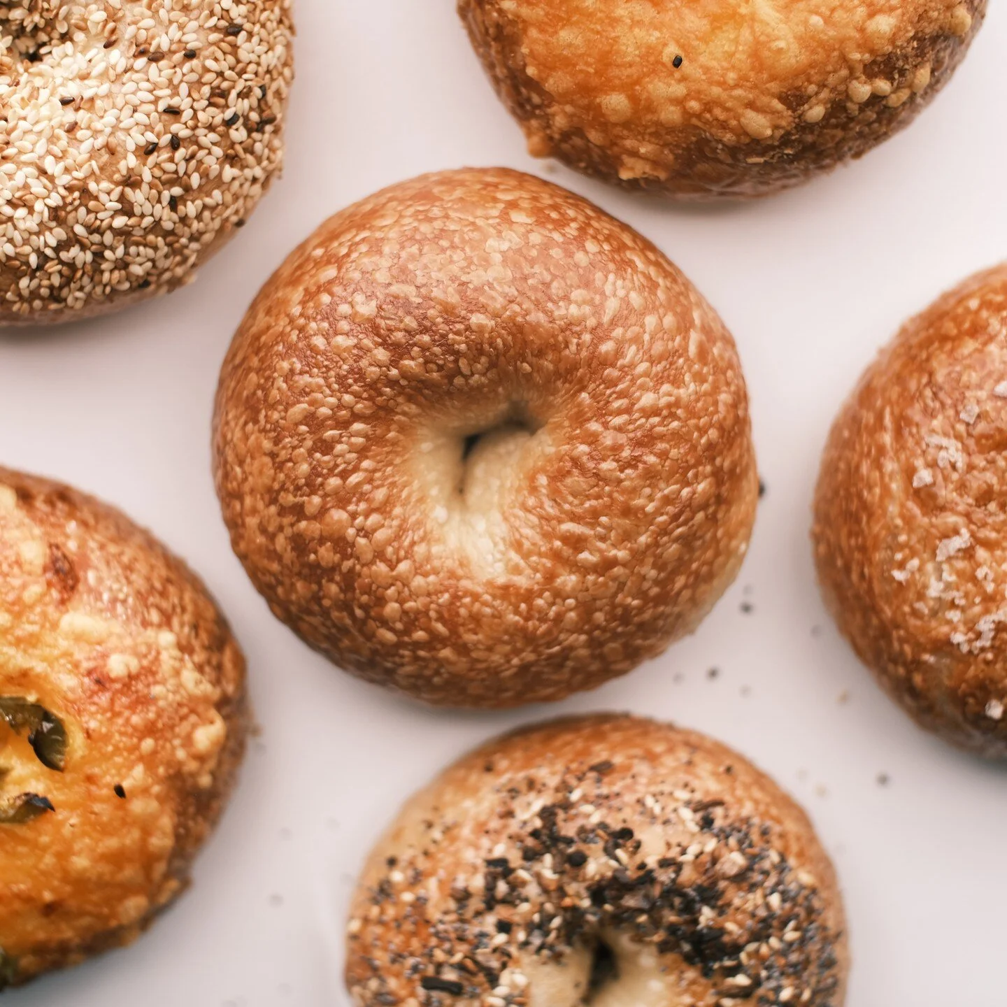 The Springs Bagel Company