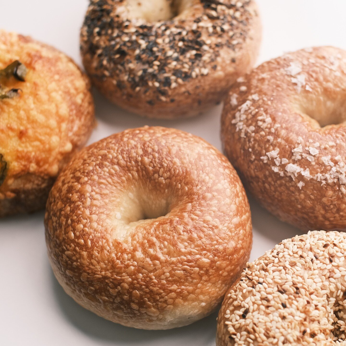 The Springs Bagel Company