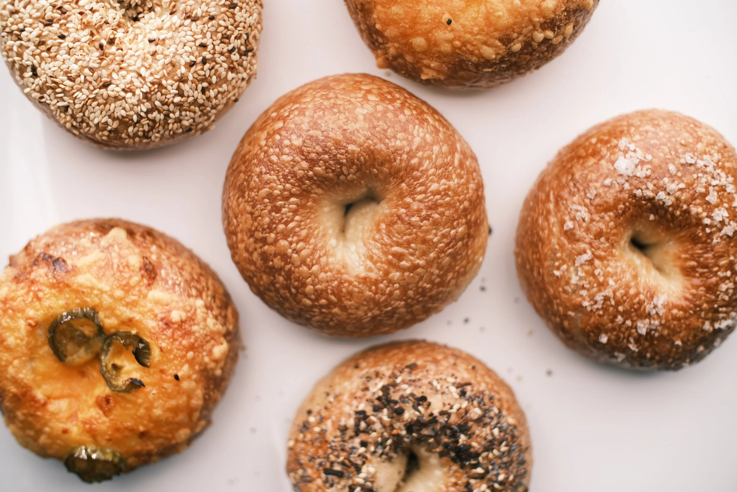 The Springs Bagel Company