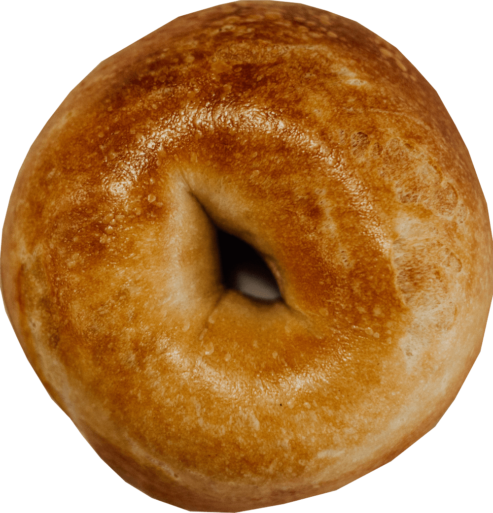 The Springs Bagel Company